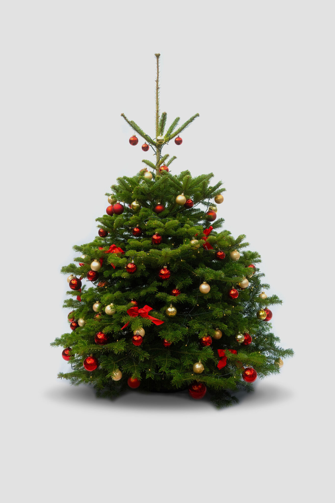 Xmas Tannenbaum M 252 Tze